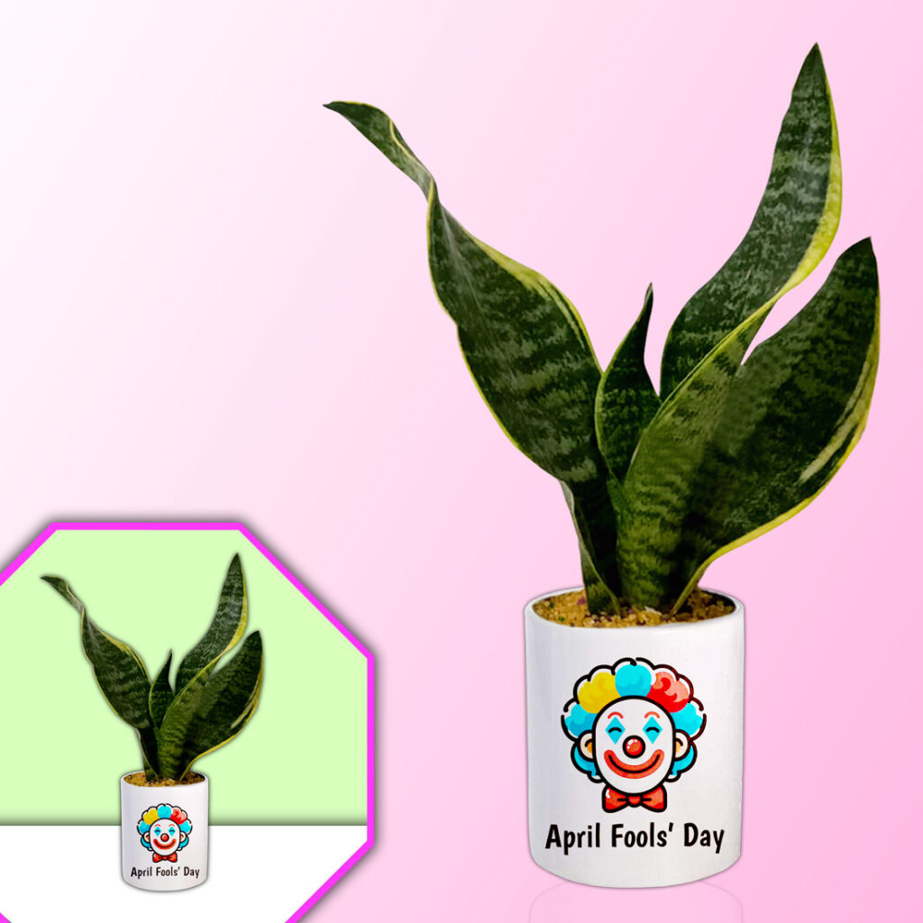 April Fools Day theme Planter - kittypartyy